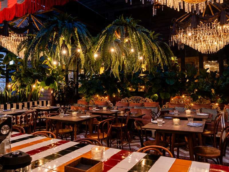 Cocktail Bar & Mediterranean Restaurant | Chicago